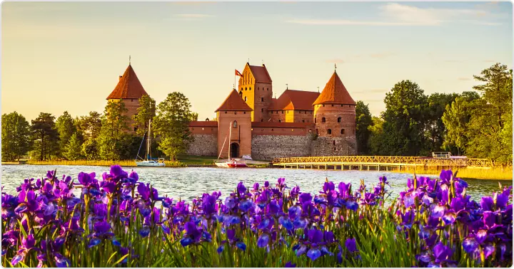 Lithuania Basic Salary - Minimum Wage in Lithuania After Tax | CXC