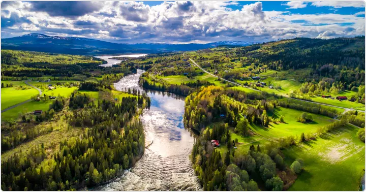 End of Employment in Sweden - Notice Period in Sweden | CXC